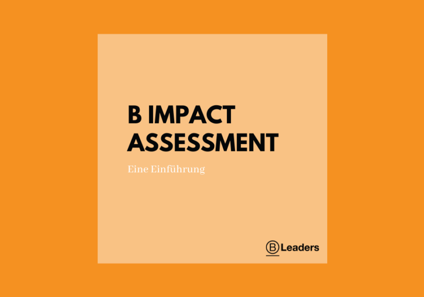 B Impact Assessment Archive - KARRY SCHWETTMANN